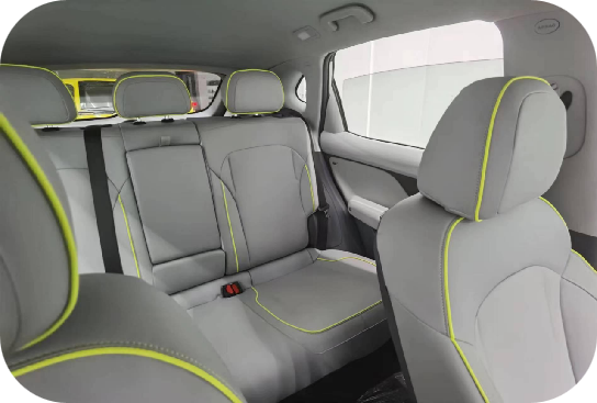 Junfeng brand LHD or RHD pure electric luxury includes EU certified ...